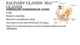 MOUTH AND SALIVARY GLANDS.pptx DIGESTIVE SYSTEM | PPTX
