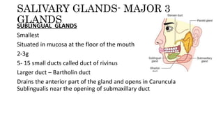 MOUTH AND SALIVARY GLANDS.pptx DIGESTIVE SYSTEM | PPTX