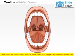 Mouth medical images for power point | PDF | Dental Health | Diseases ...