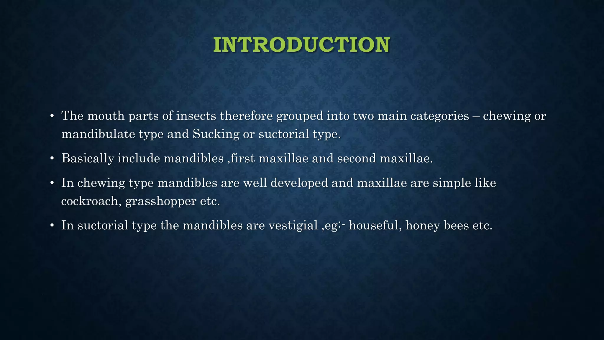 Mouth part of insect-3.pptx | Beekeeping | Hobbies & Interests