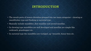 Mouth part of insect-3.pptx