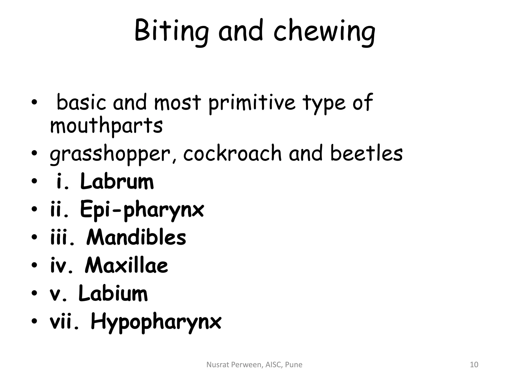 Mouth parts of insect | PPTX | Dental Health | Diseases and Conditions