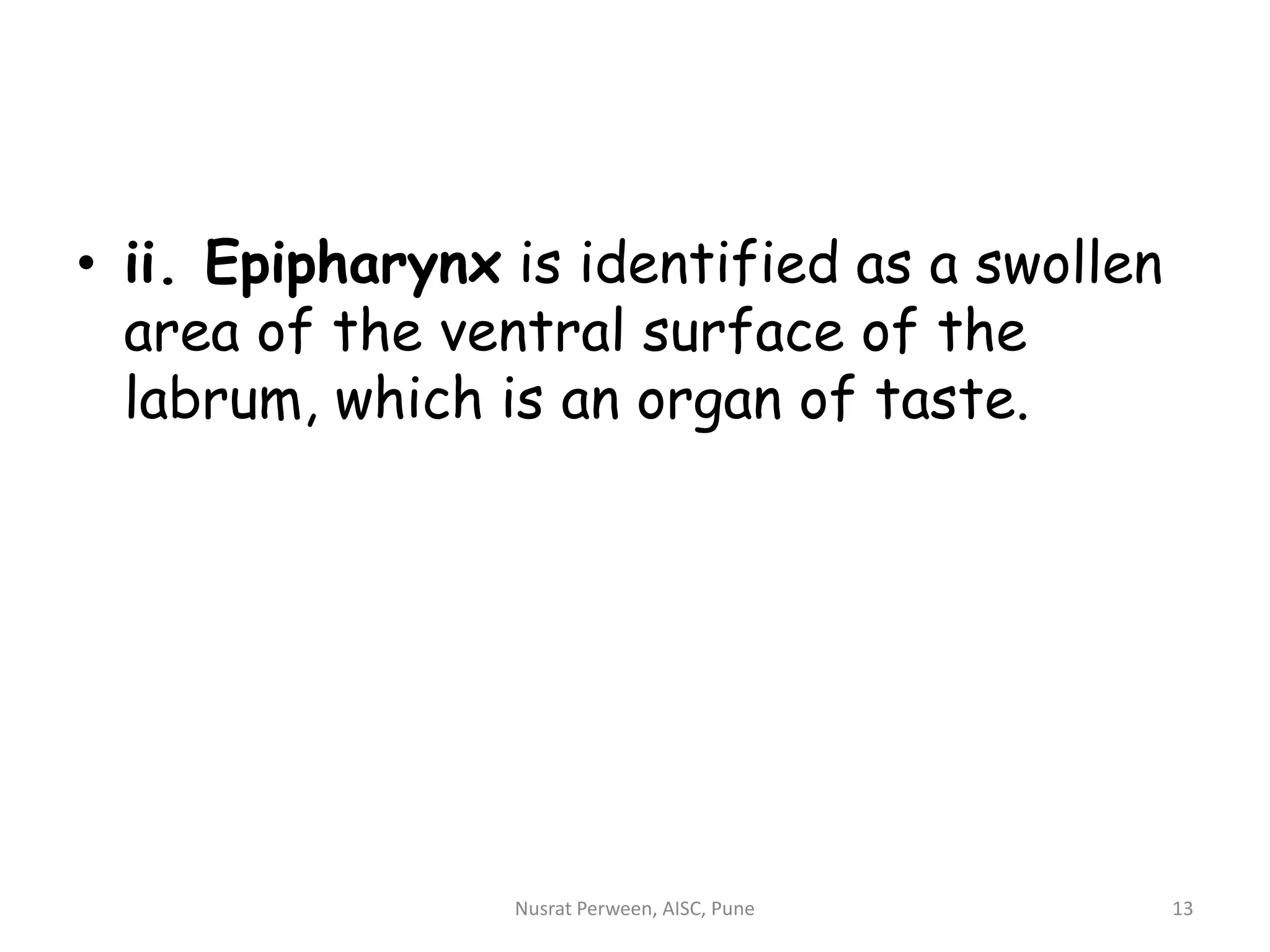 Mouth parts of insect | PPTX