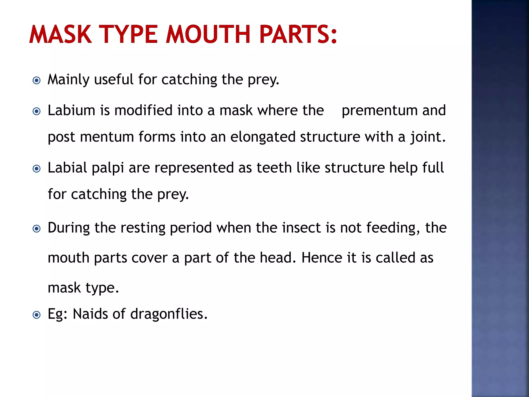 Mouth parts ppt | PPTX
