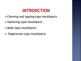 Mouth parts ppt | PPTX