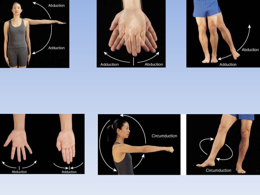 Movimientos Articulares