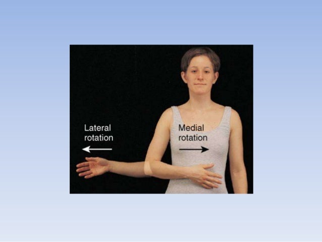 Movimientos Articulares