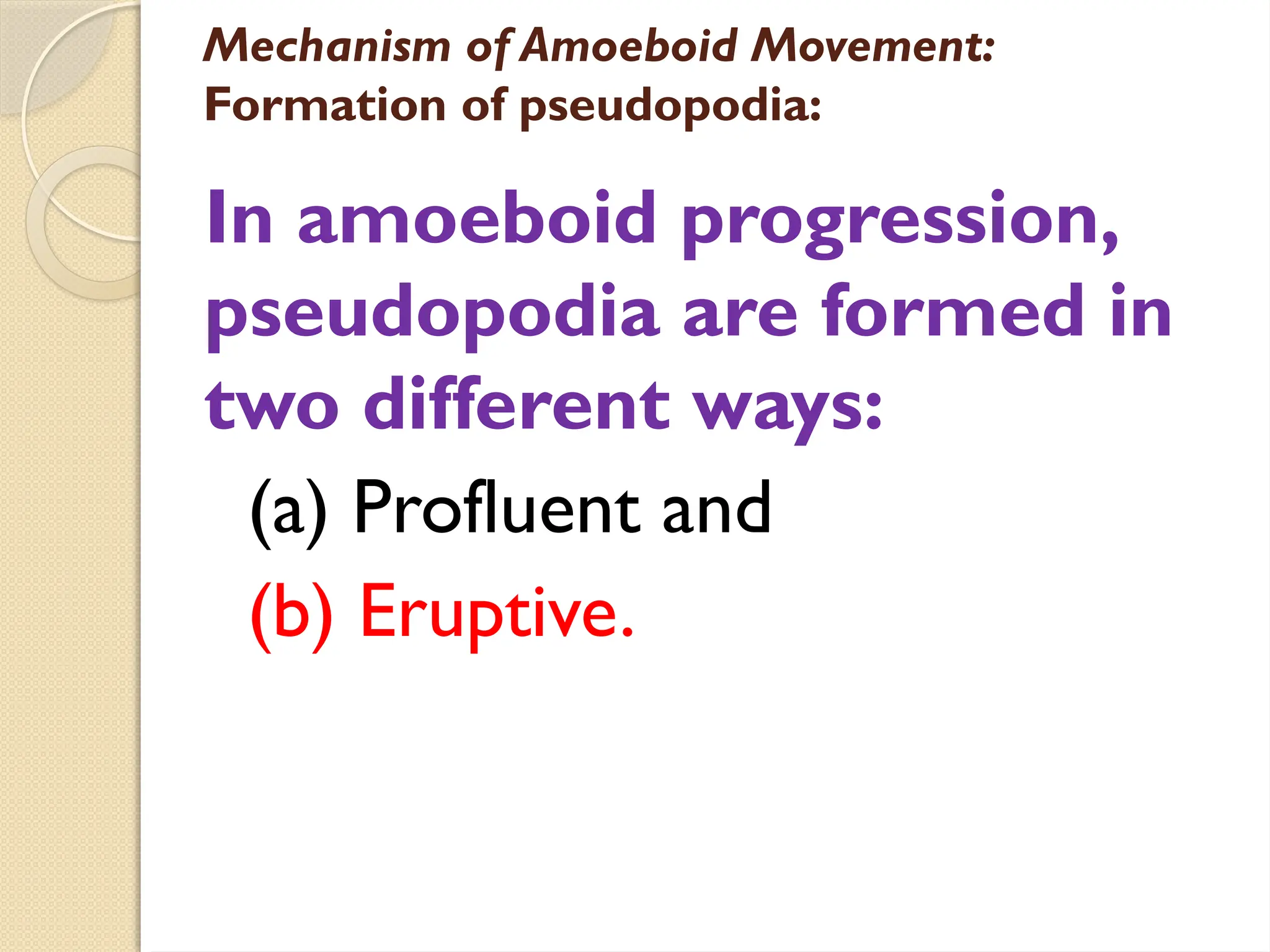 protozoa MOVEMENT and classes of protozoa .pptx