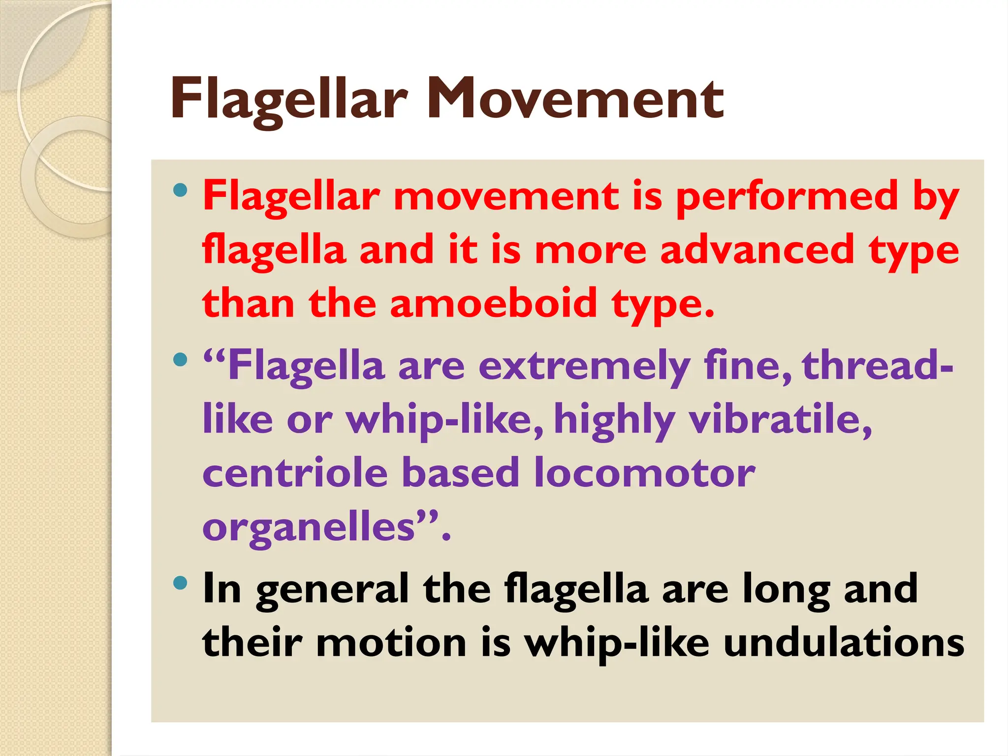 protozoa MOVEMENT and classes of protozoa .pptx