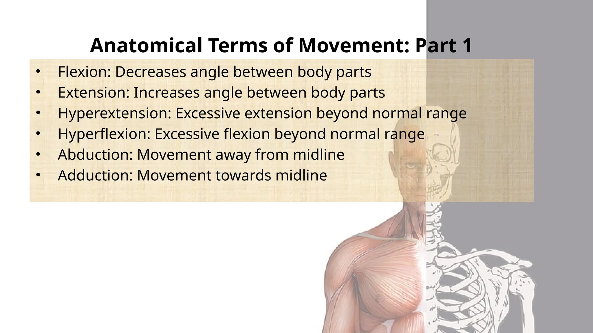 Movement-Enhancement--Understanding-the-Human-Body-and-Exercise.pptx