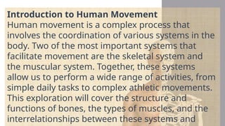 Movement-Enhancement--Understanding-the-Human-Body-and-Exercise.pptx