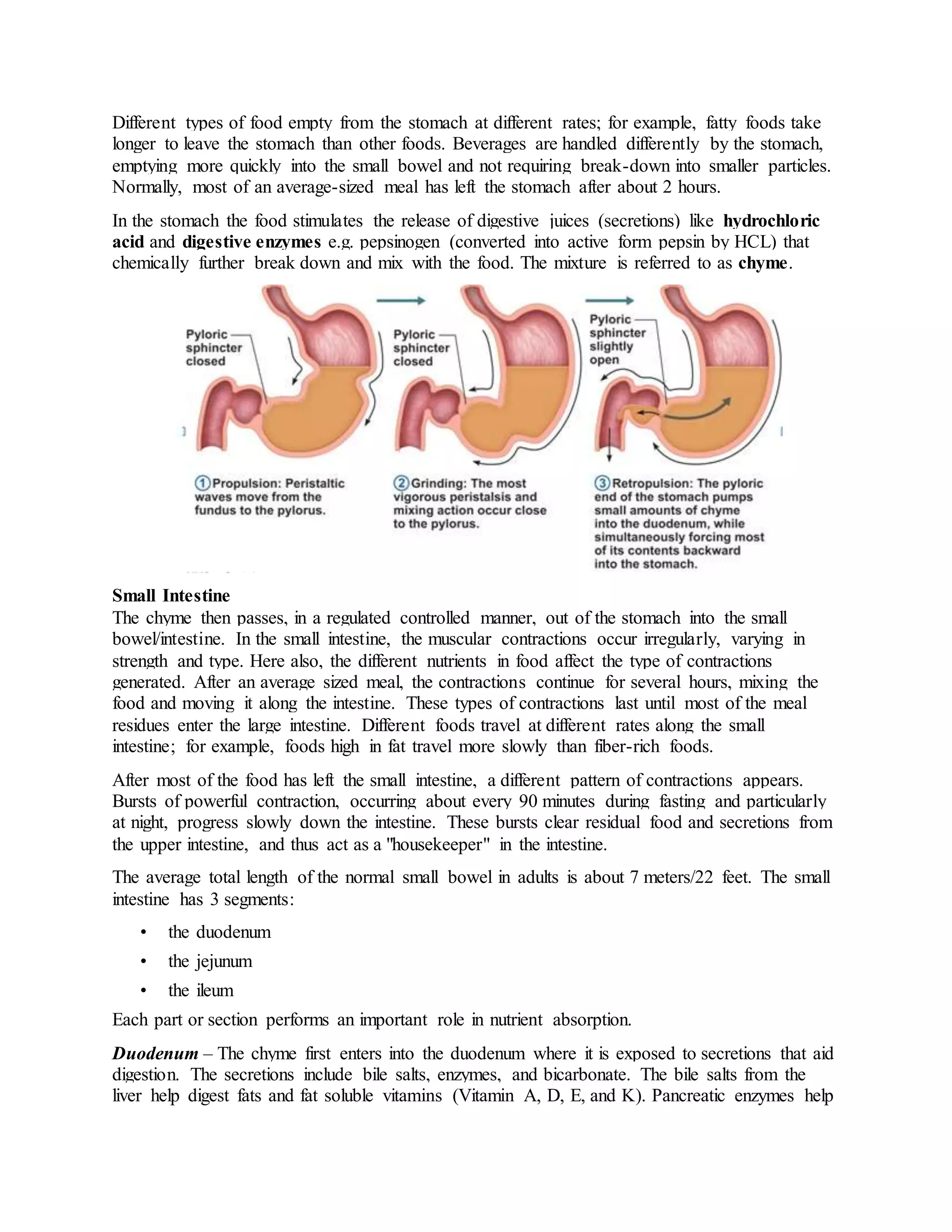 Movement of-git-and-motility | DOCX