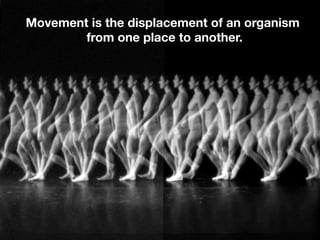 Movement in Life | PDF