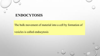 Movement across membrane | PPT