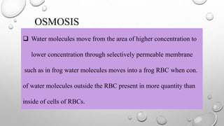Movement across membrane | PPT