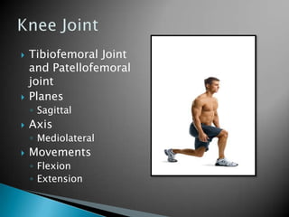 Movement analysis 1 | PPTX