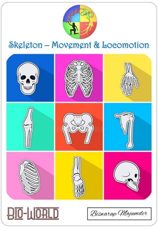 Skeleton : Movement and Locomotion | PDF