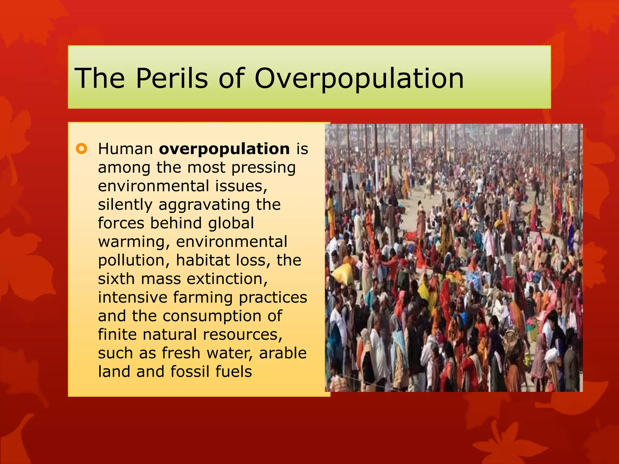 Movement and Sustainability | PPTX