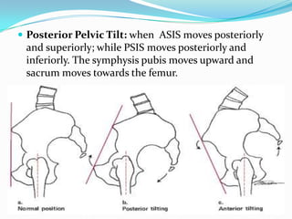 Movement at hip joint amir | PPTX