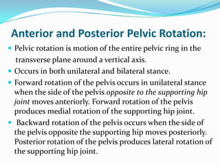 Movement at hip joint amir | PPTX