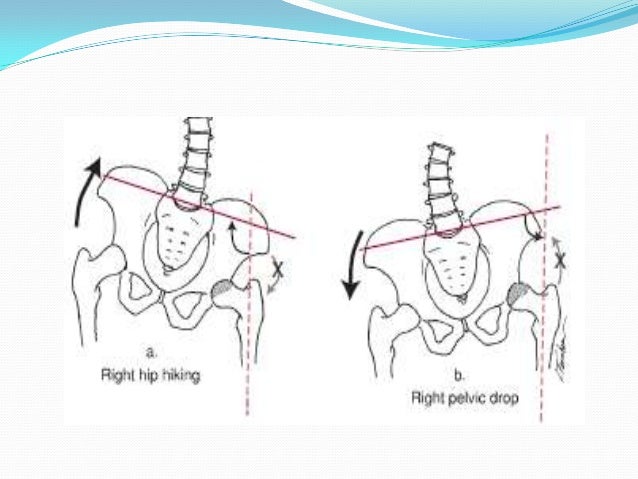 Movement at hip joint amir