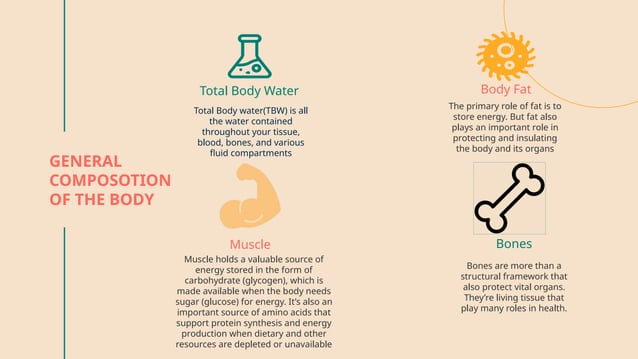 Movement Competency Training 1 Presentation.pptx