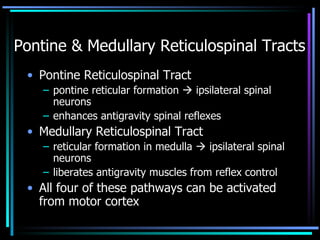 Movement II | PPT