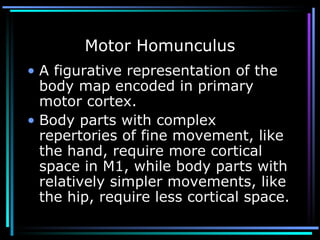 Movement II | PPT | Brain and Nervous System Disorders | Diseases and ...