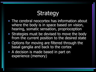 Movement II | PPT