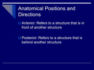 Movement in anatomical_terms | PPT | Death, Injury, or Military ...