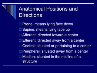 Movement in anatomical_terms | PPT | Death, Injury, or Military ...