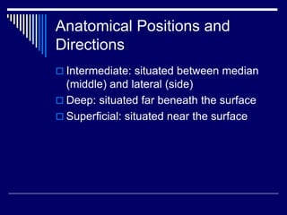 Movement in anatomical_terms | PPT | Death, Injury, or Military ...