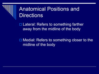 Movement in anatomical_terms | PPT | Death, Injury, or Military ...