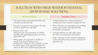 movement in and out of the cell for o level and igcse students.pdf