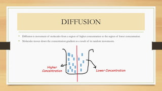 movement in and out of the cell for o level and igcse students.pdf