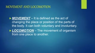 Movement in animals | PPT