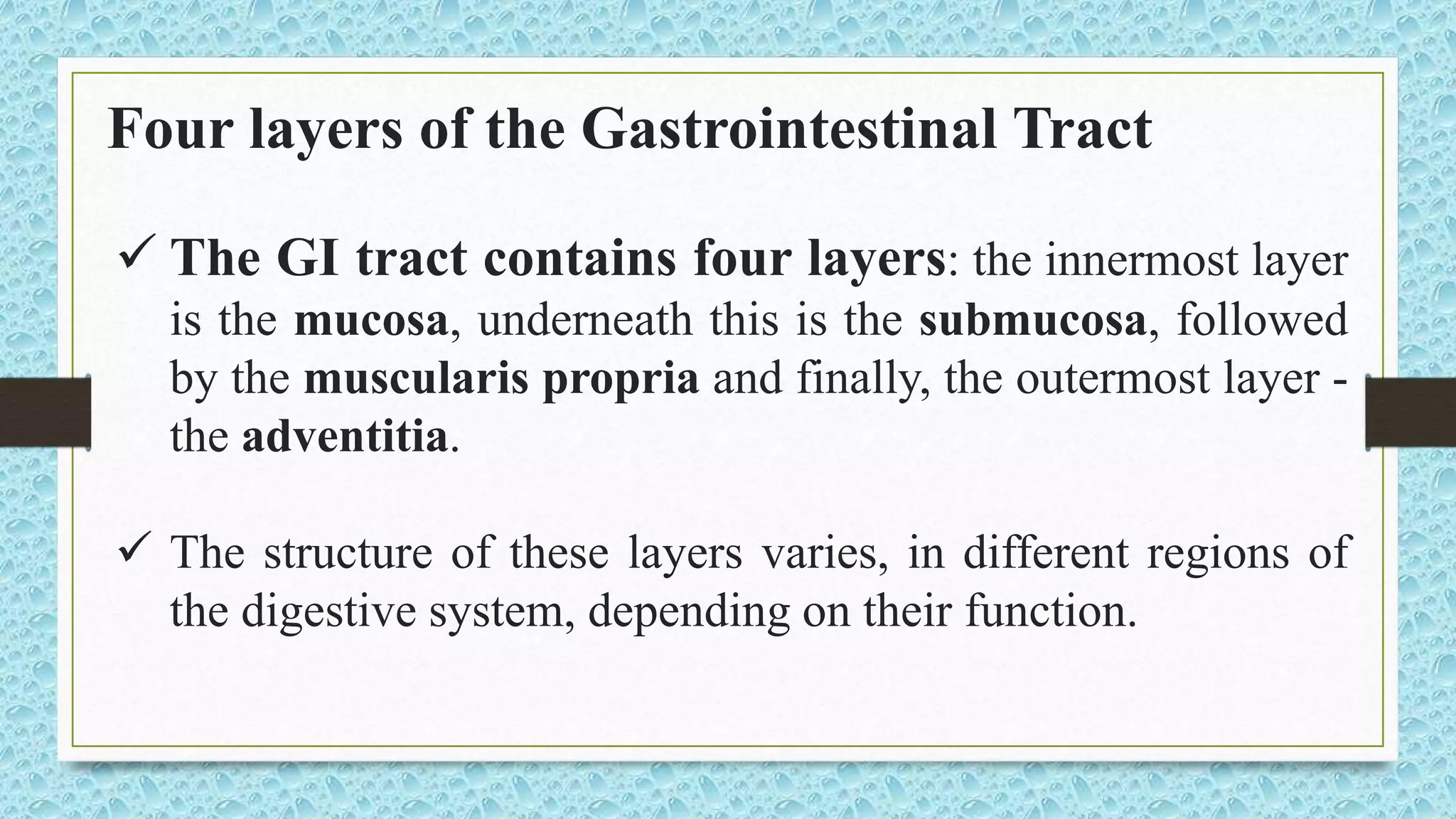 Movement in gastrointestinal tract | PPTX