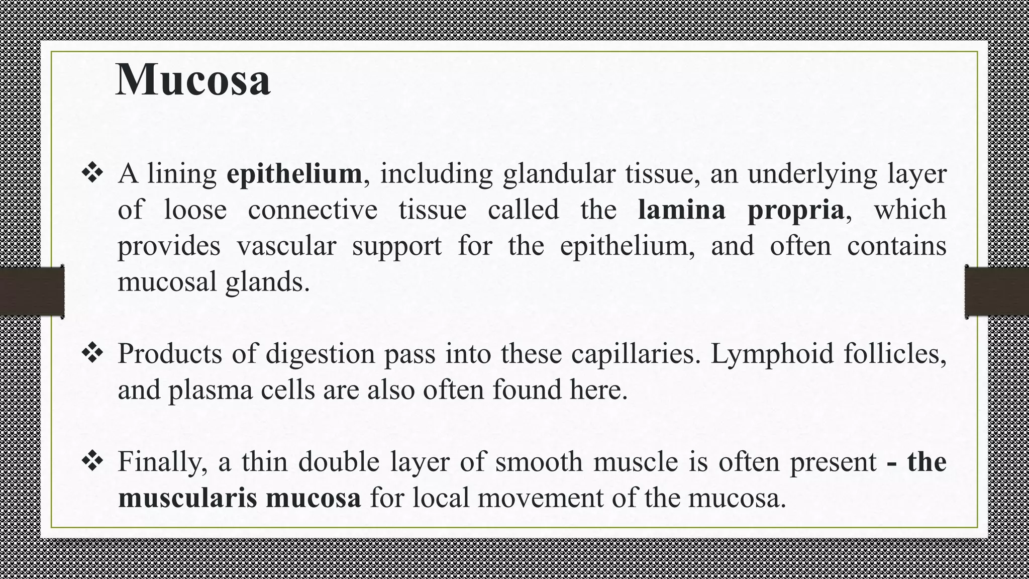Movement in gastrointestinal tract | PPTX