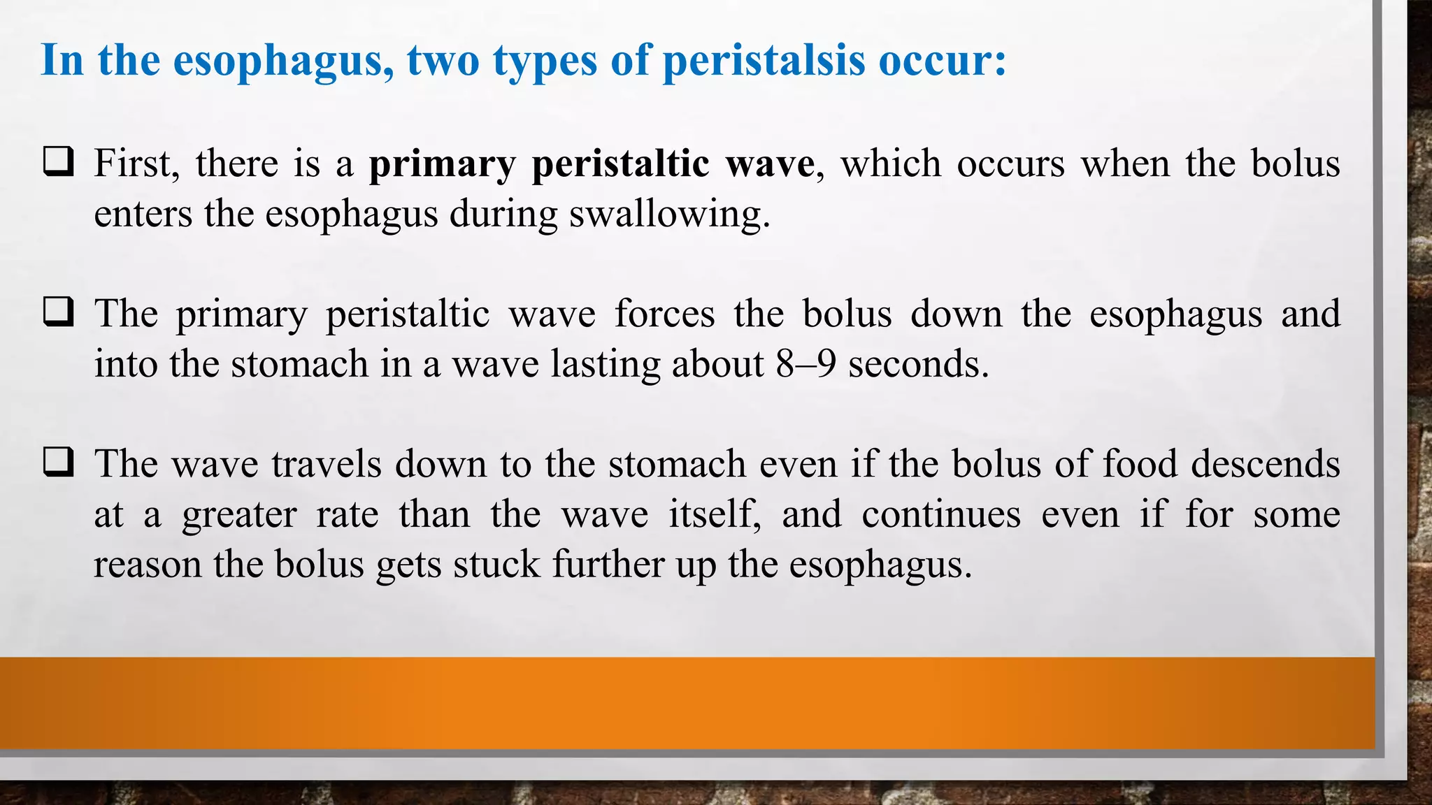 Movement in gastrointestinal tract | PPTX