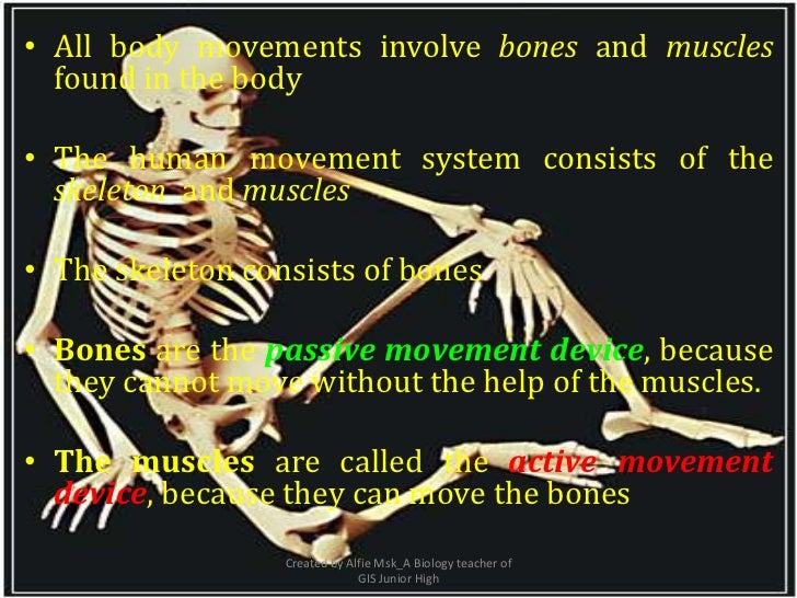8-2. Movement in humans
