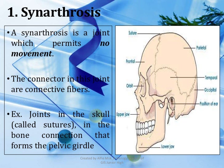 8-2. Movement in humans