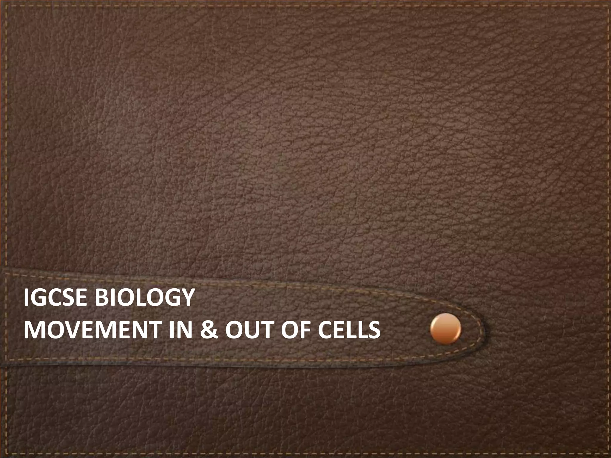 Movement in & Out Cell.ppt