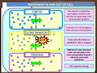 Movement in & Out Cell.ppt