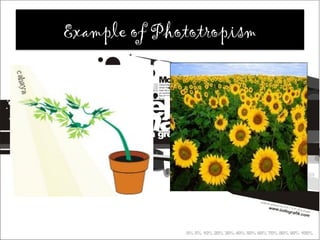 MOVEMENT IN PLANT PRESENTATION JUNIOR HIGH SCHOOL | PPTX