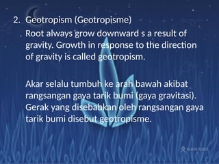 MOVEMENT IN PLANT PRESENTATION JUNIOR HIGH SCHOOL | PPTX