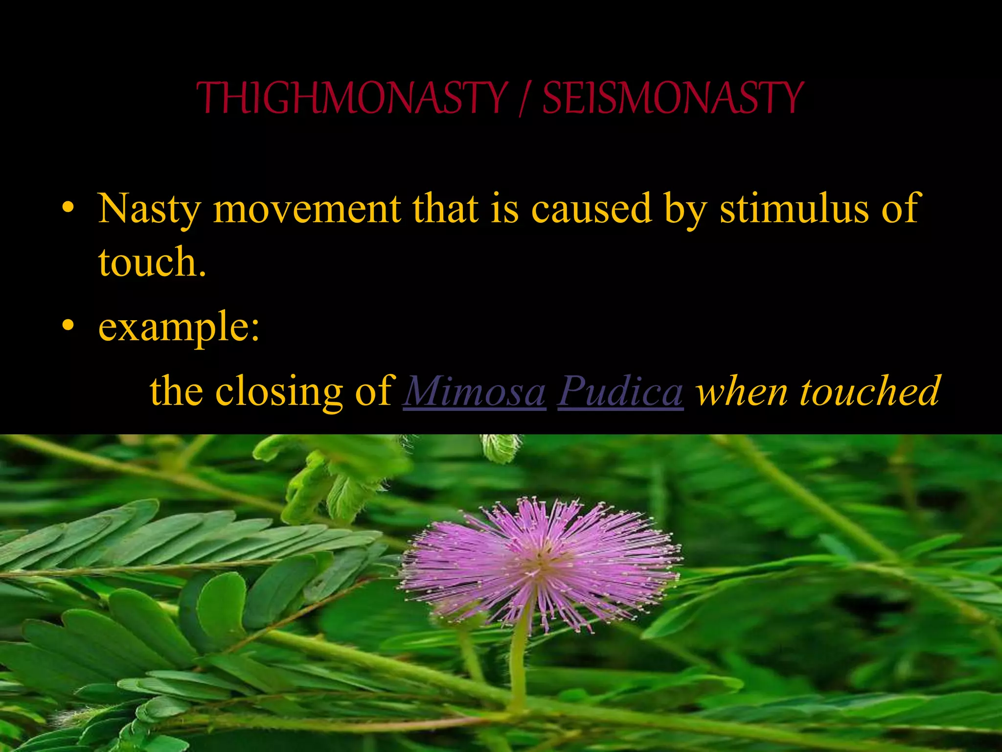 Movement in plants | PPTX