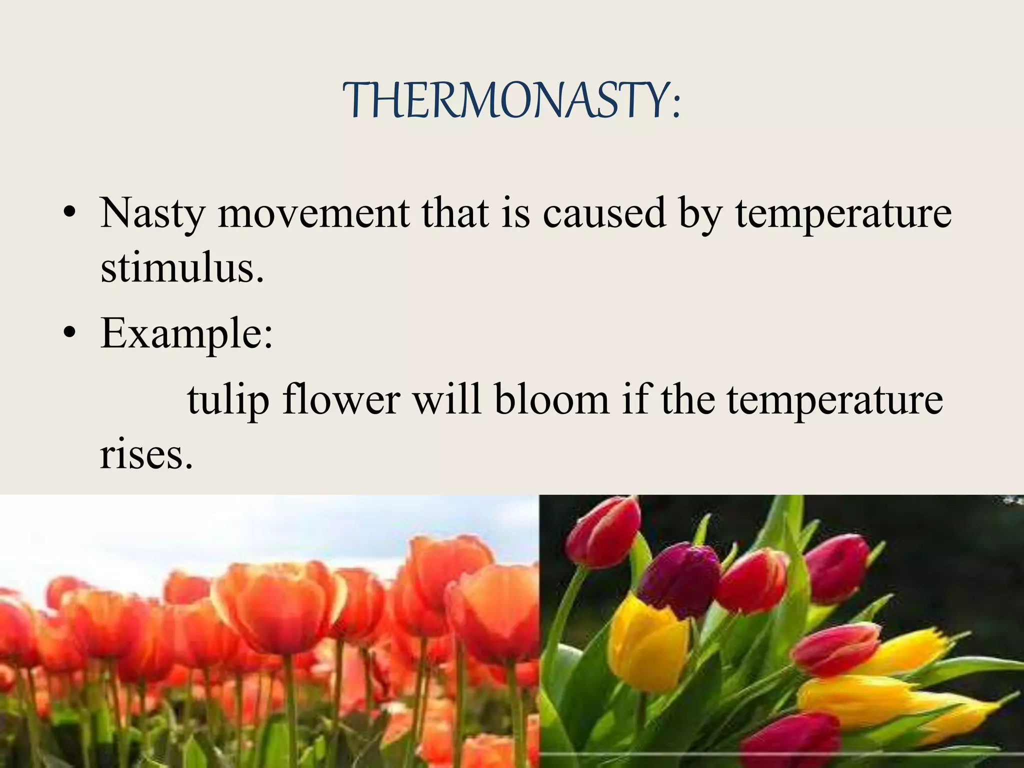 Movement in plants | PPTX