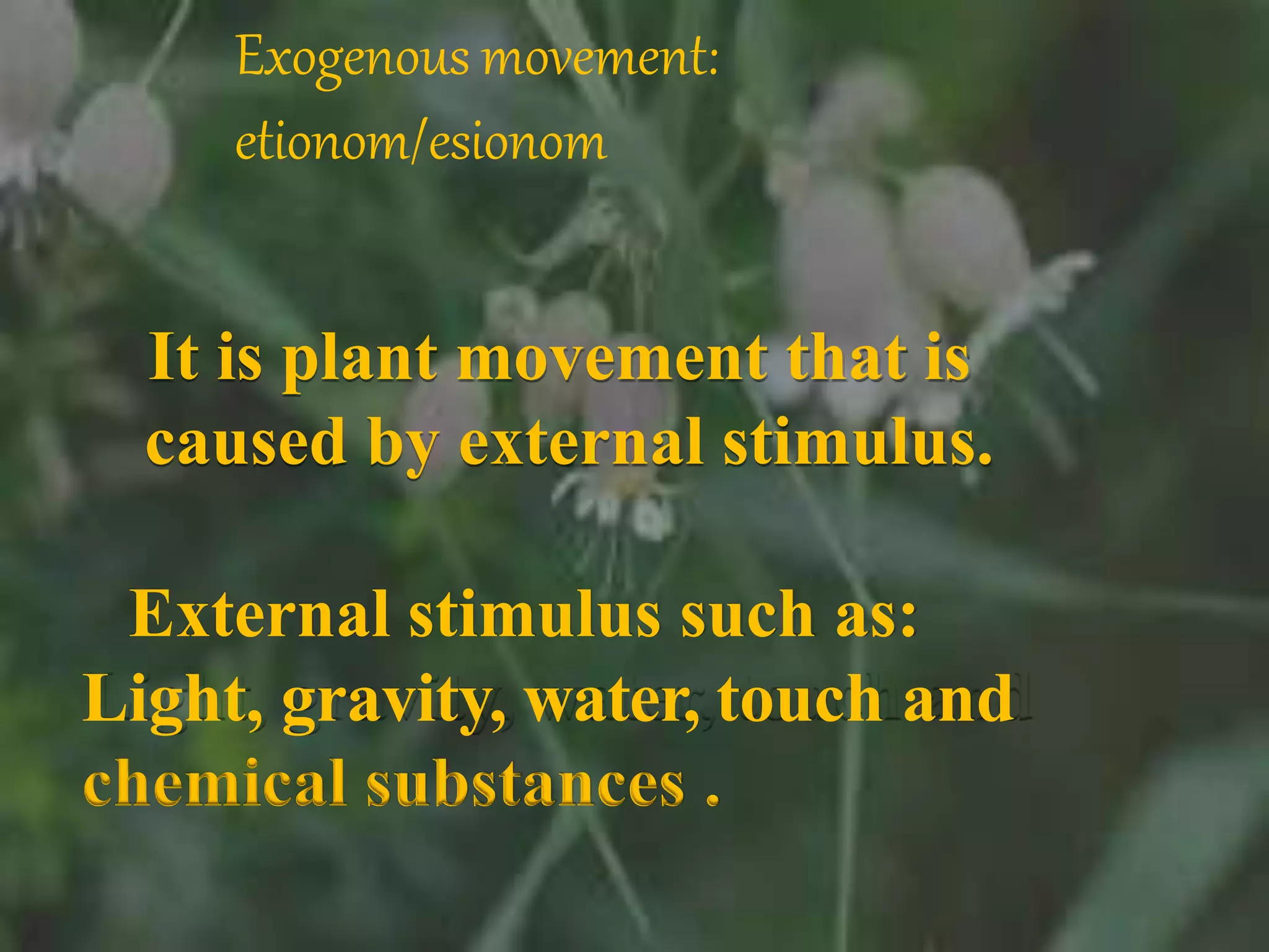 Movement in plants | PPTX