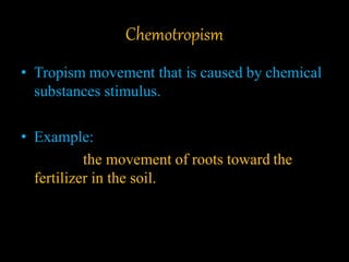 Movement in plants | PPTX