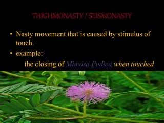 Movement in plants | PPTX